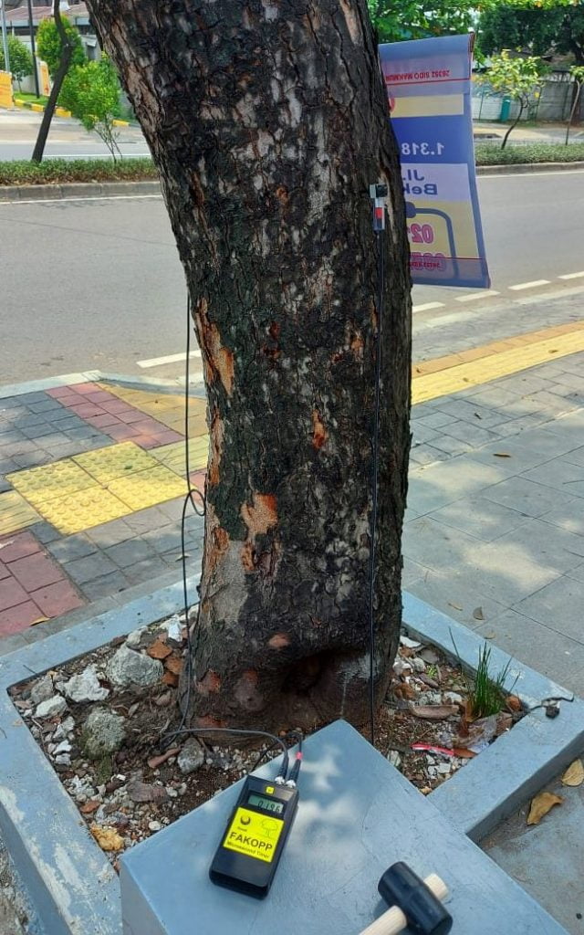 Mengetahui Kesehatan Struktural Pohon Dengan Metode Time-of-flight on a ...