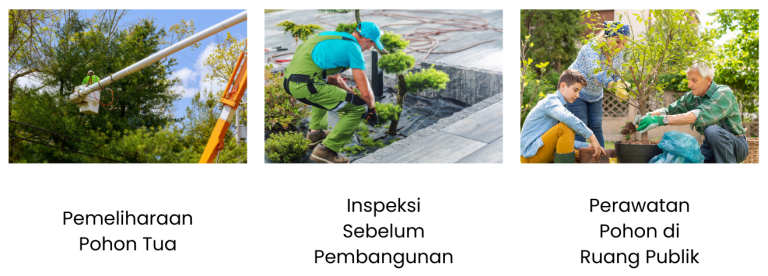Mengenal Lebih Dalam Tentang ArborSonic 3D Acoustic Tomograph - Alat Uji